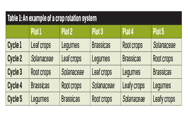 crop rotation